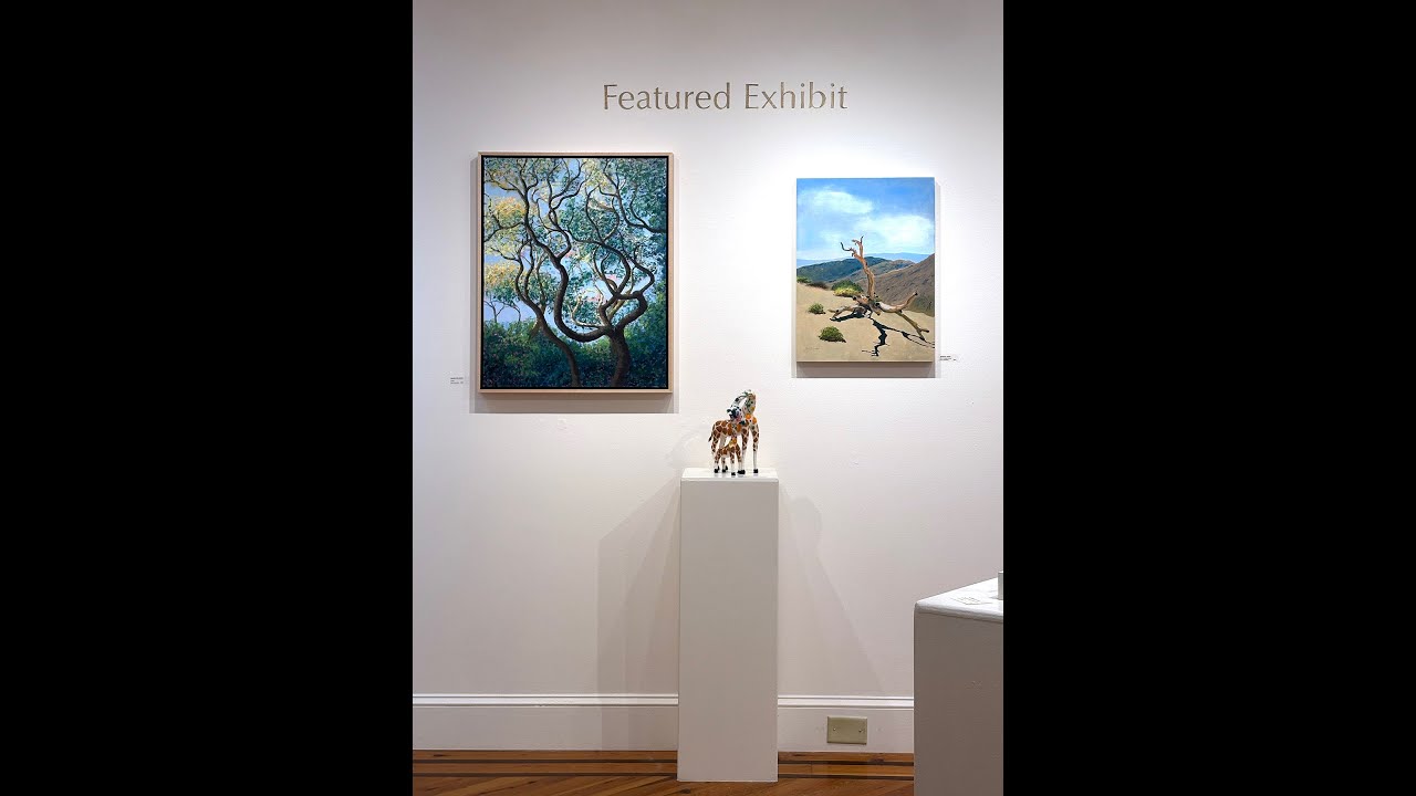Art Colors Life - HGA Featured Artist Show July 2025 - YouTube