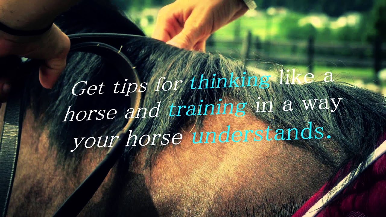 Callie King Promo V1 - YouTube