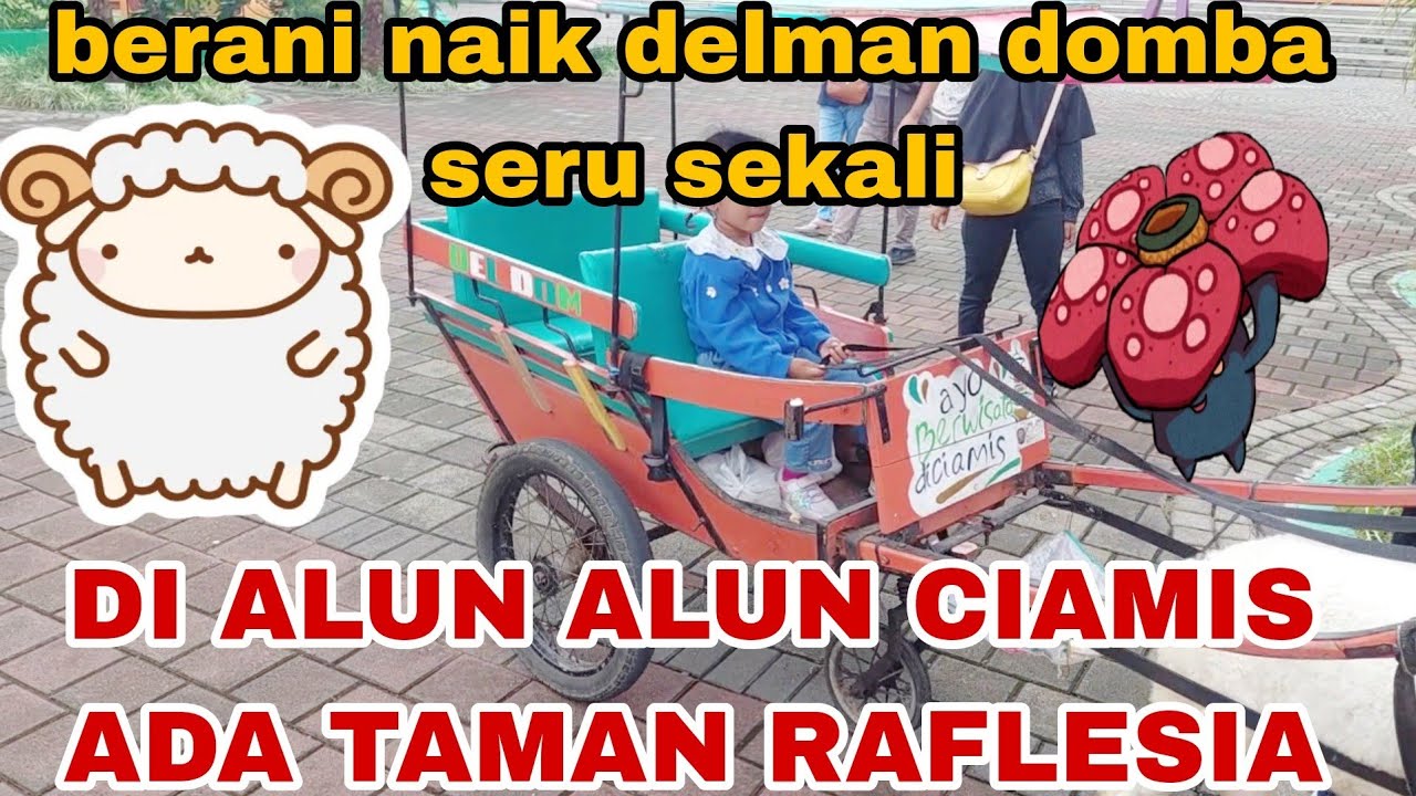 SERU BERANI NAIK DELMAN DOMBA DI ALUN ALUN CIAMIS ADA TAMAN RAFLESIA ...