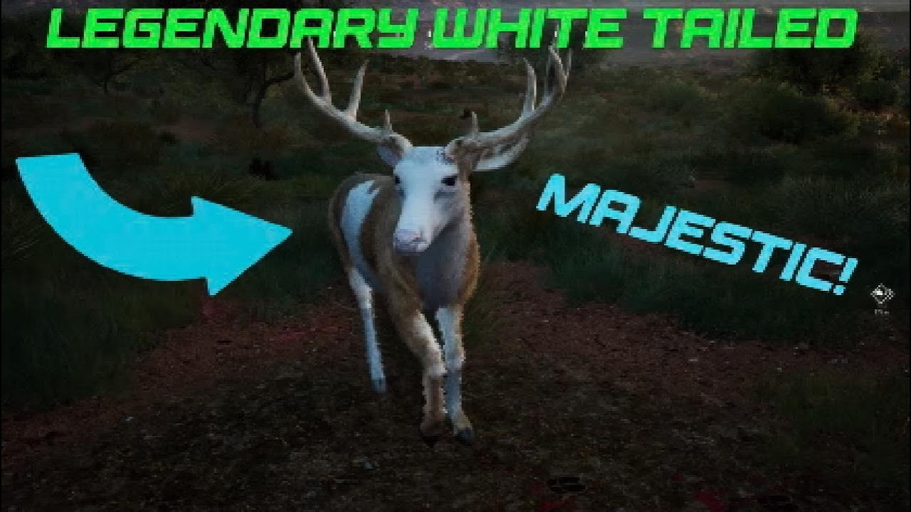 Legendary White Tailed Deer - Hunting simulator 2 - YouTube