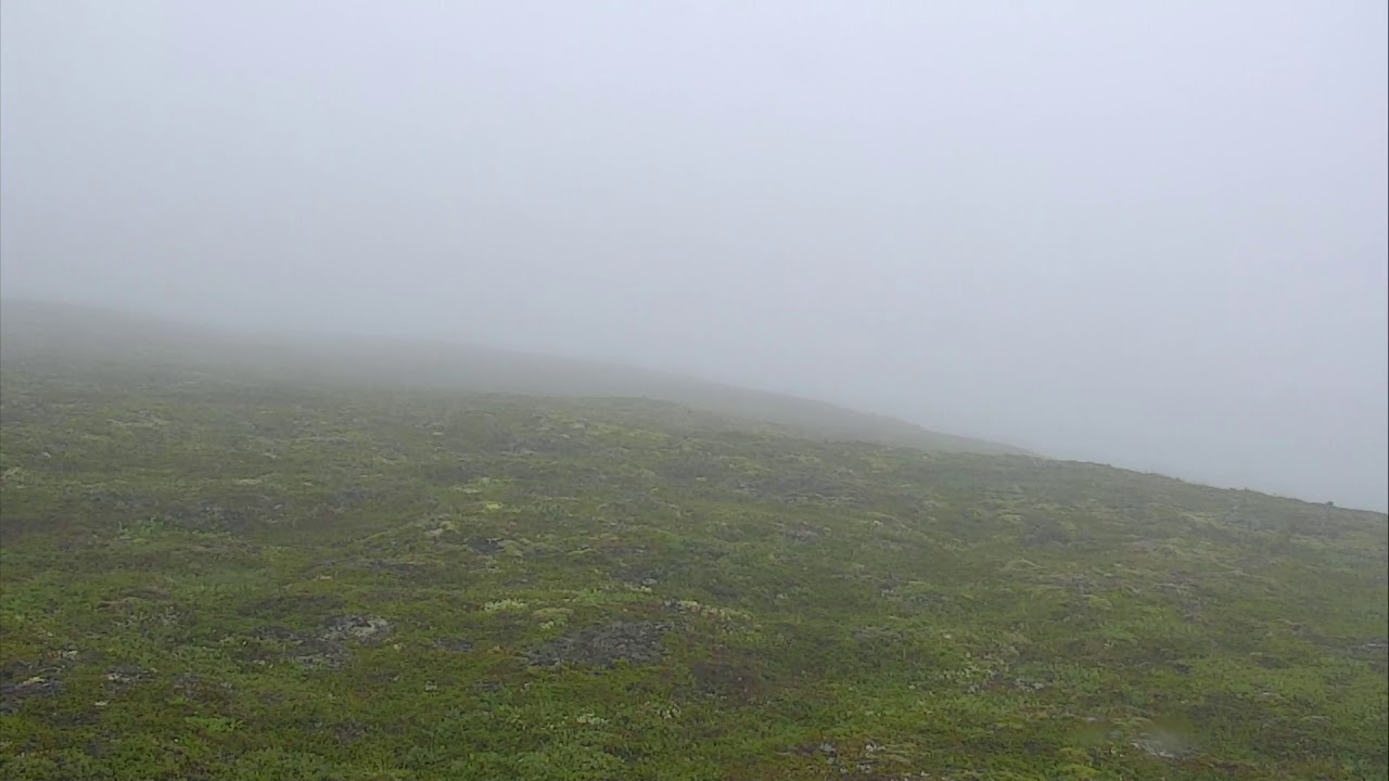 Dumpling Mountain - Katmai National Park Cam 08-06-2018 10:03:22 - 11: ...