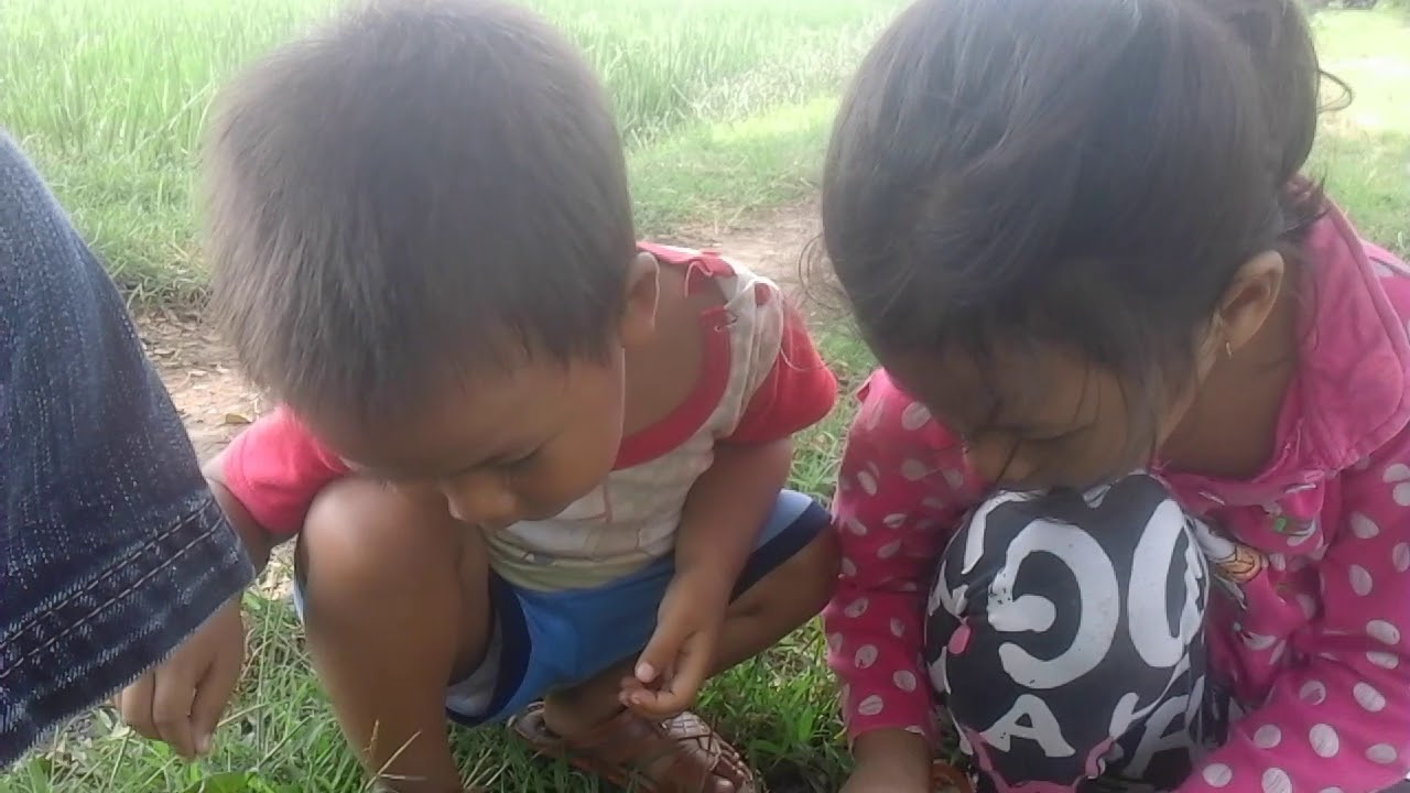 Mainan rumput di sawah 1 - YouTube