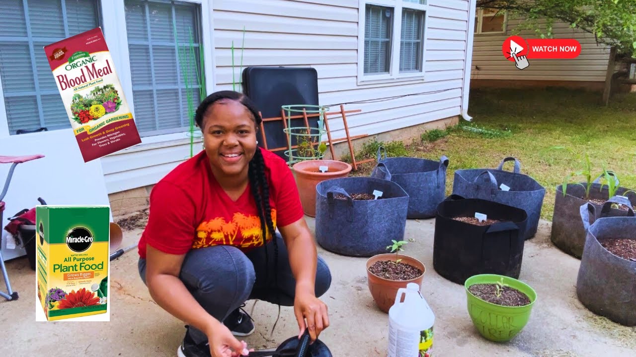 “Feed your plants so they can feed you” | Fertilize my container garden ...
