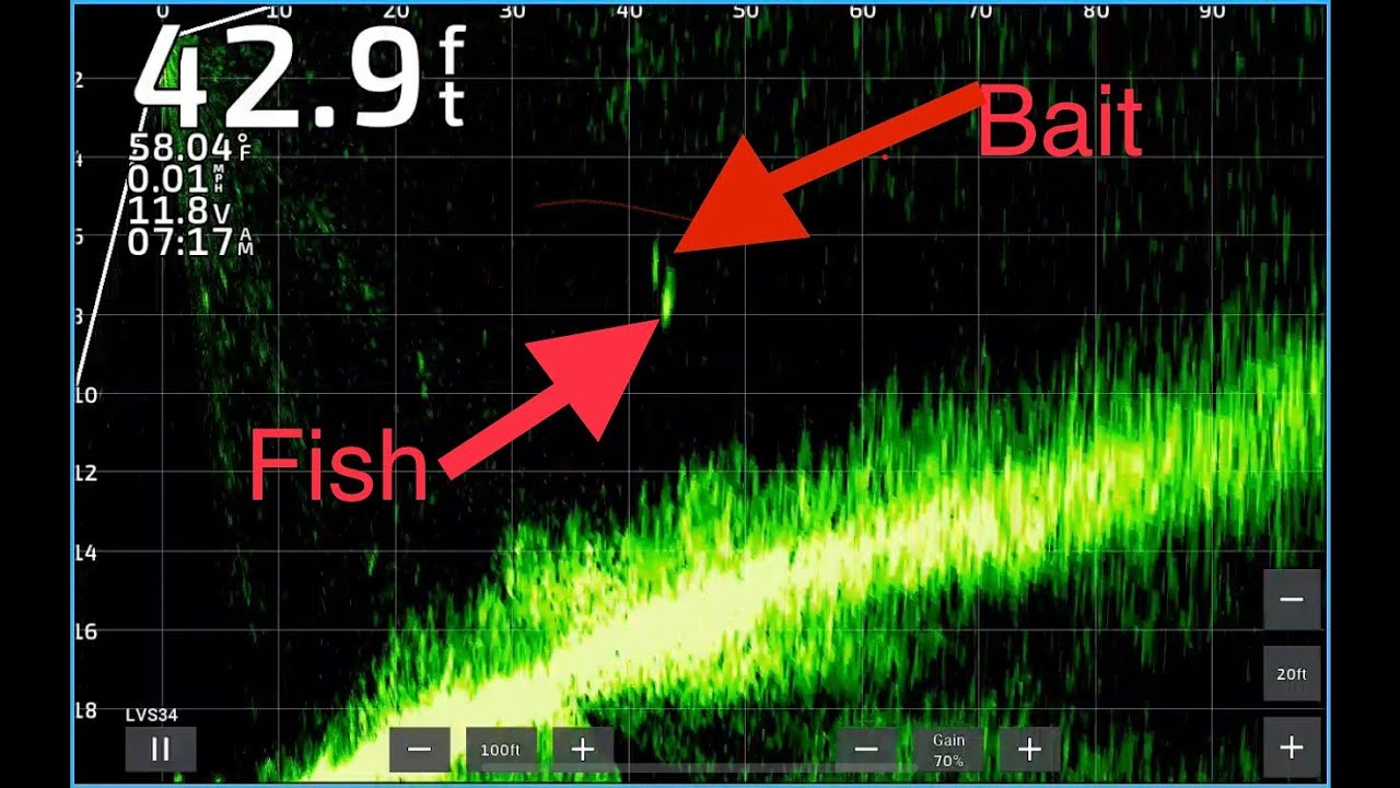 Catching white bass at Lake Pleasant on the Megabass Vision 110 jr 1 ...