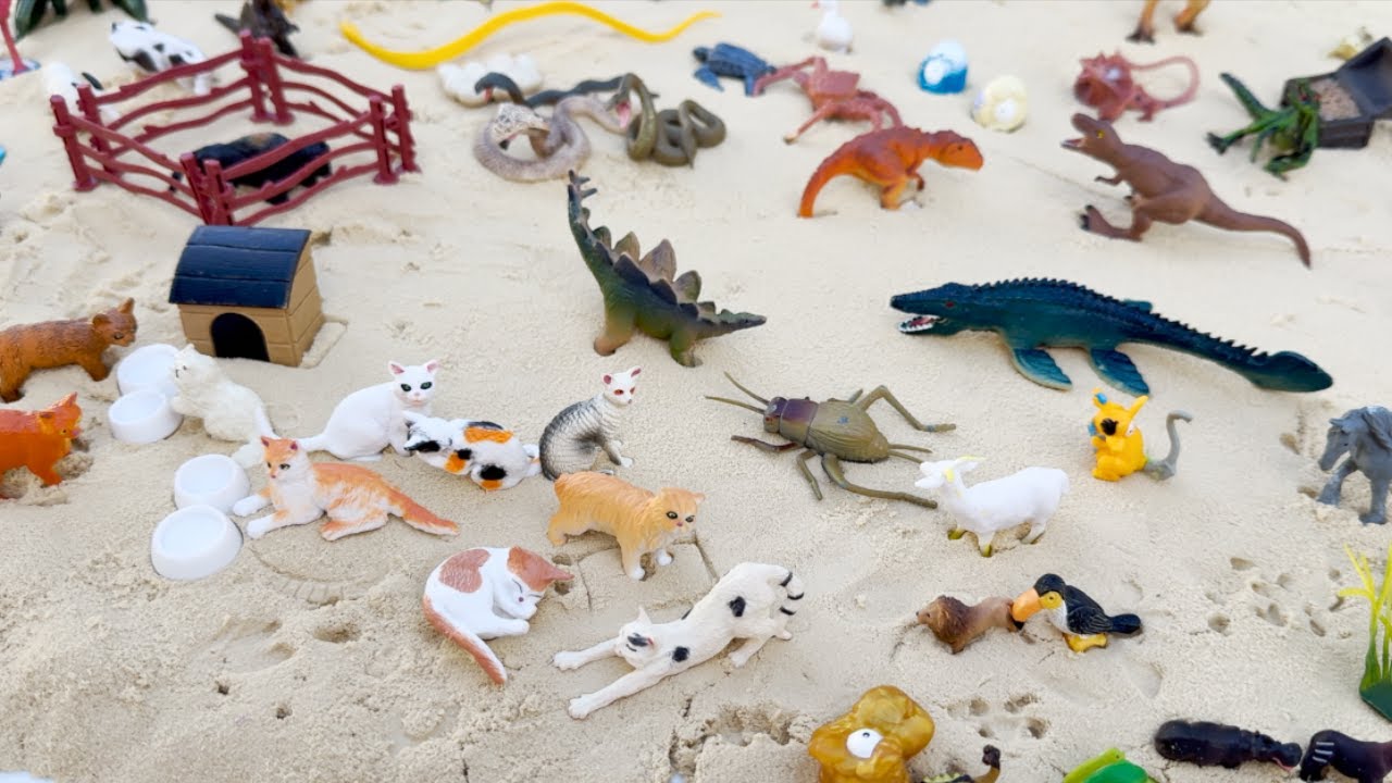 Animals Toys Collection In Sand! Mini Animal Figures, Learn Animal ...
