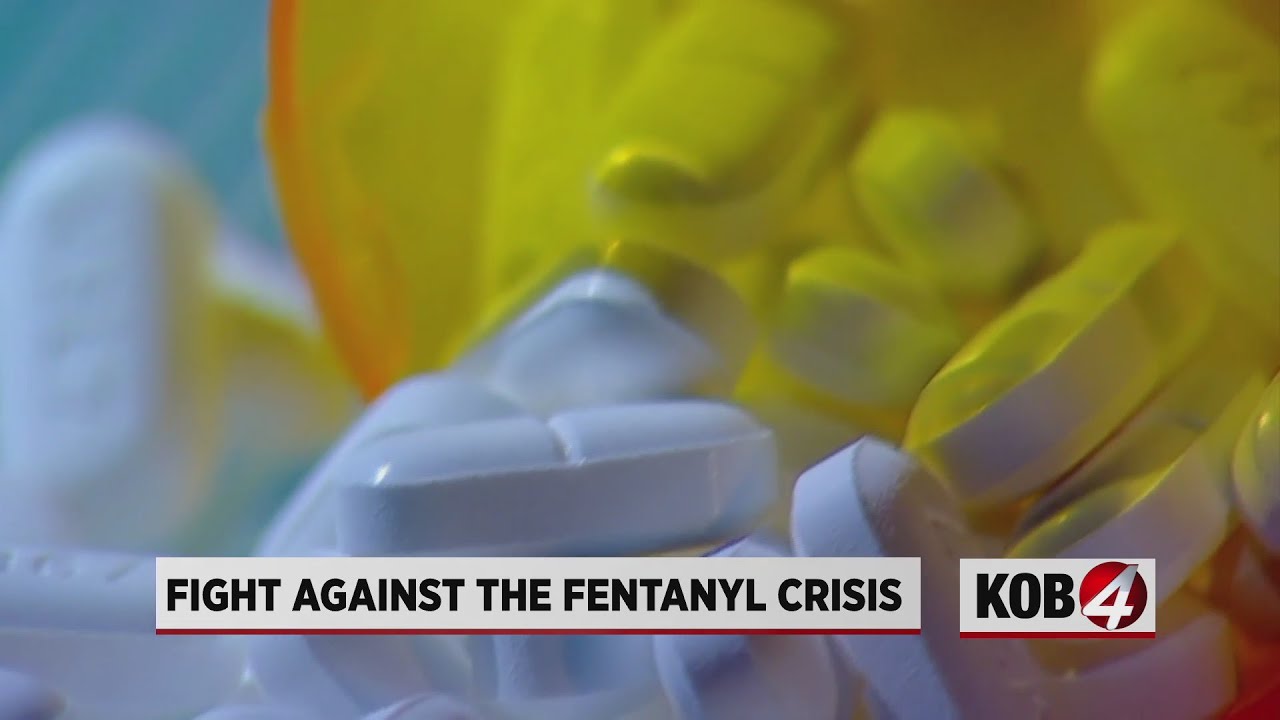 New substance abuse program hopes to educate, provide resources - YouTube