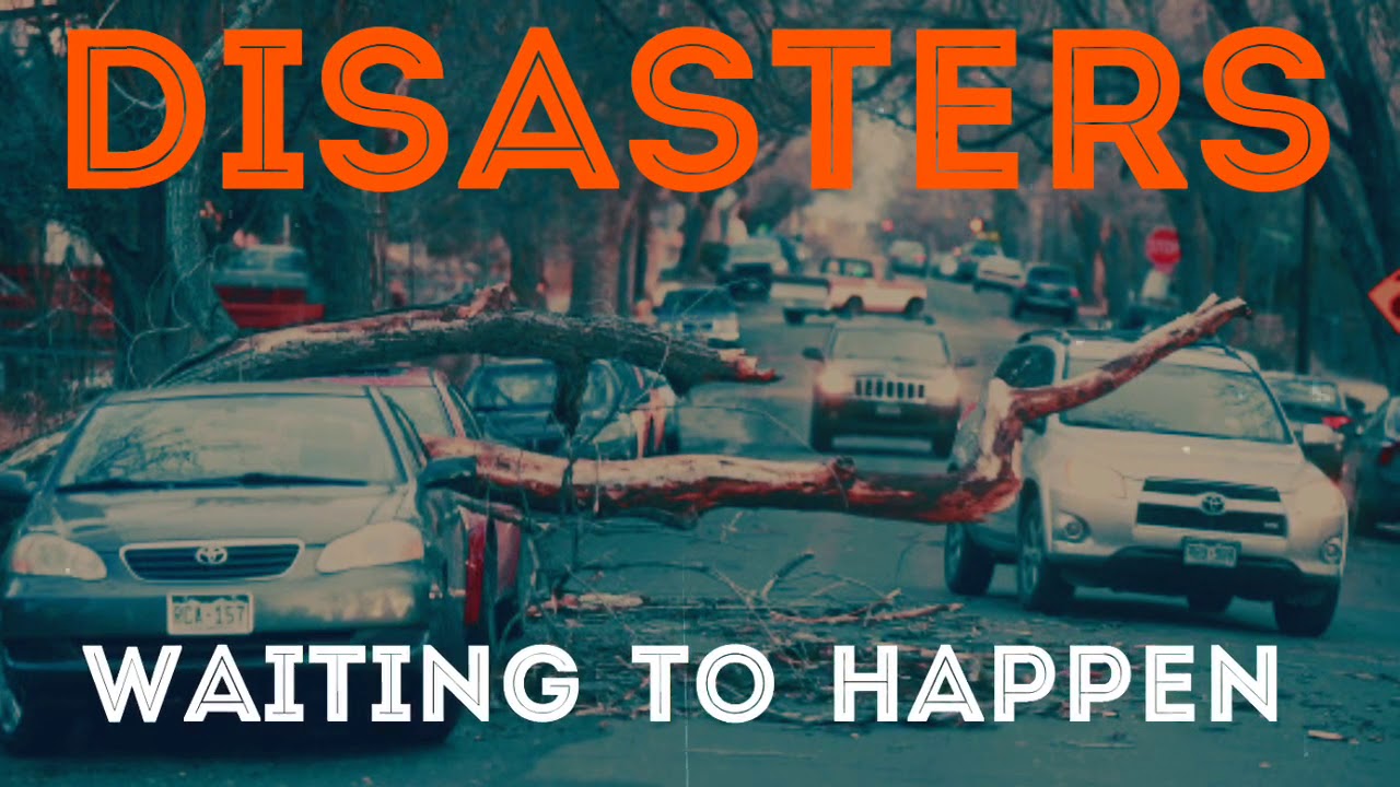 Tree Service Springfield IL | Brown Storm Service | (217) 306-3417 ...