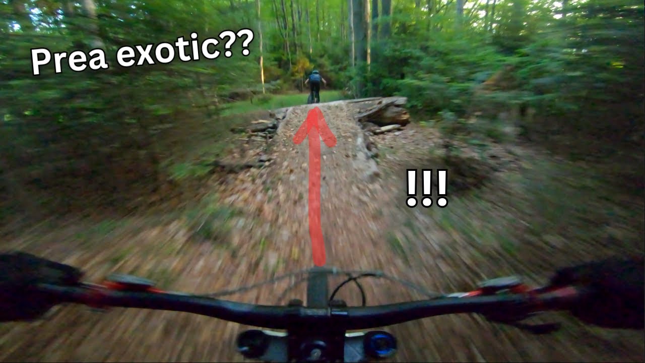 Nimeni nu stie traseu asta (secret 🤫) | Vlog nebun #10 - YouTube