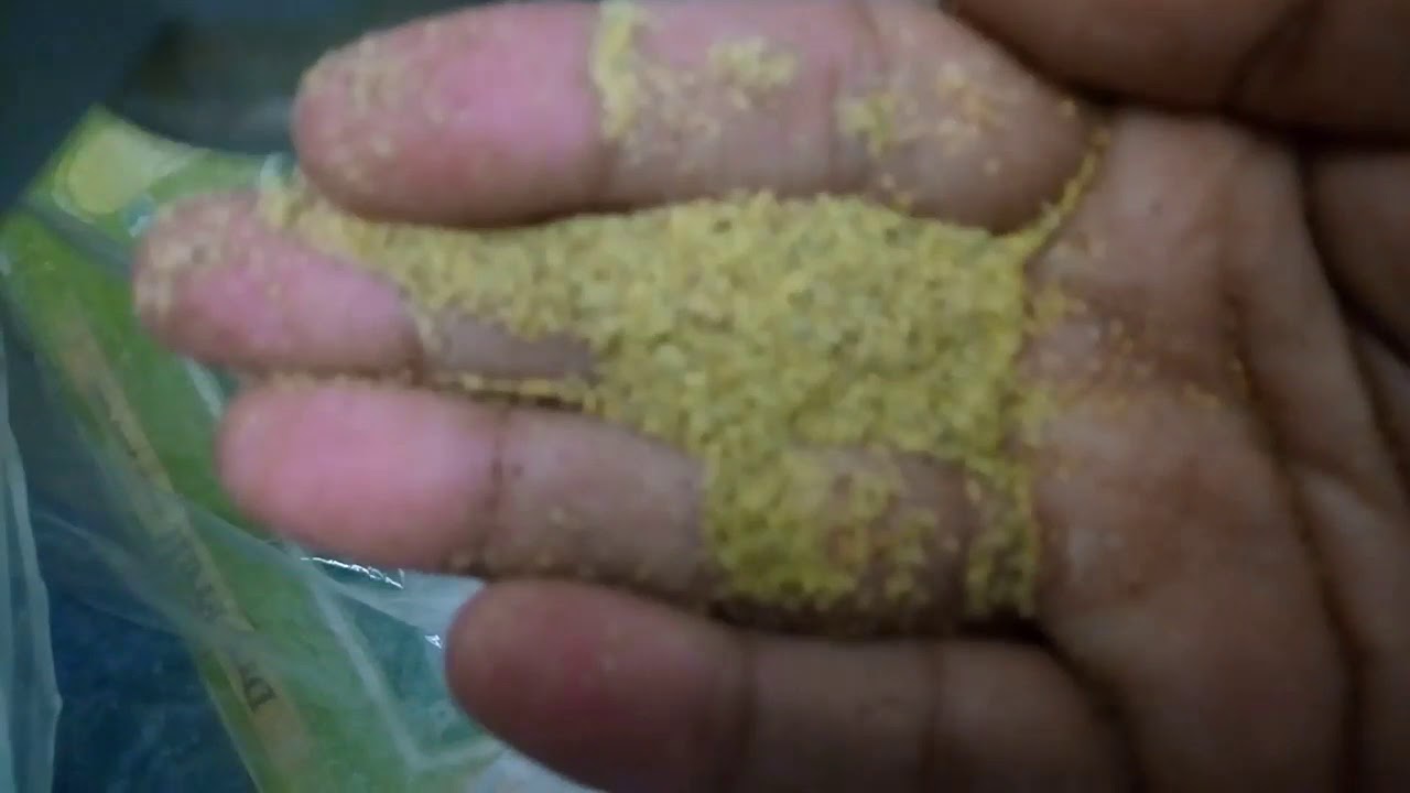 hulled mustard screen grading - YouTube