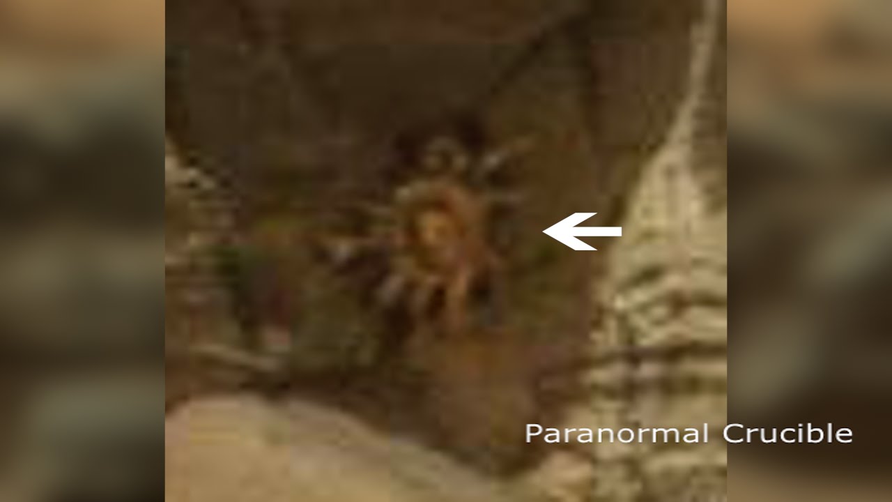 Alien Spider? Mysterious Object Found On Mars - YouTube