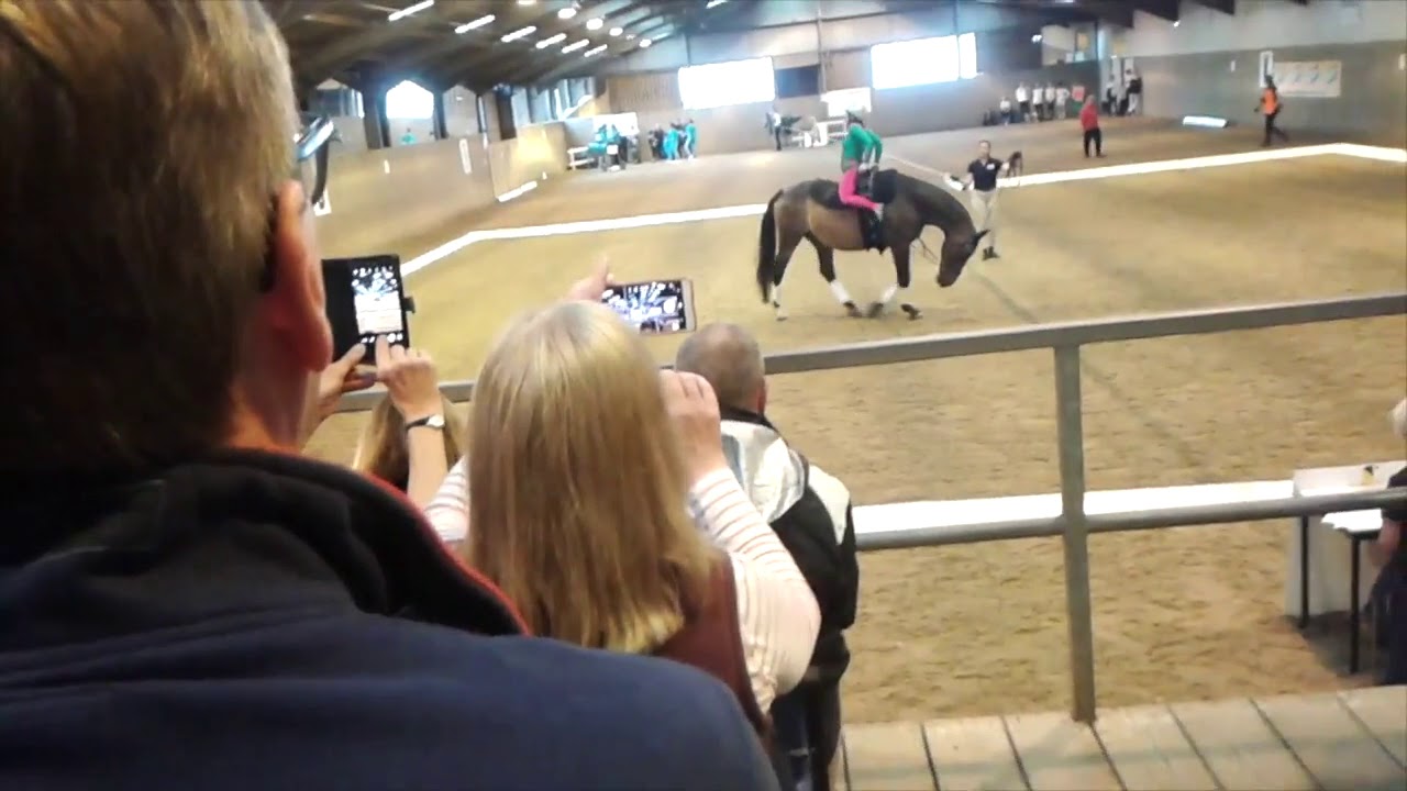 Hartpury 2017 - RDA National Championships - The Para Vaulter - Winning ...