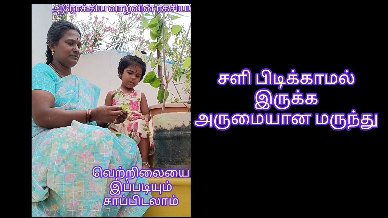 என்னது வெற்றிலையோடு கடலை மிட்டாய் வைத்து சாப்பிட்டா சளி பிடிக்காதா ...
