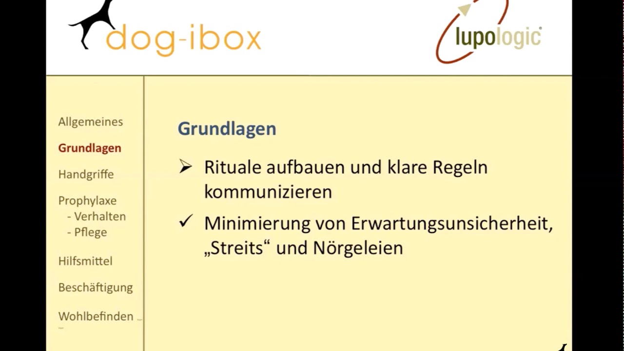 Vorschau dog-ibox Webinar "Praktische Kleinigkeiten rund um Alltag ...