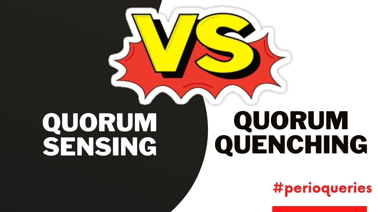 QUORUM SENSING AND QUORUM QUENCHING II Periodontal bacteria II # ...
