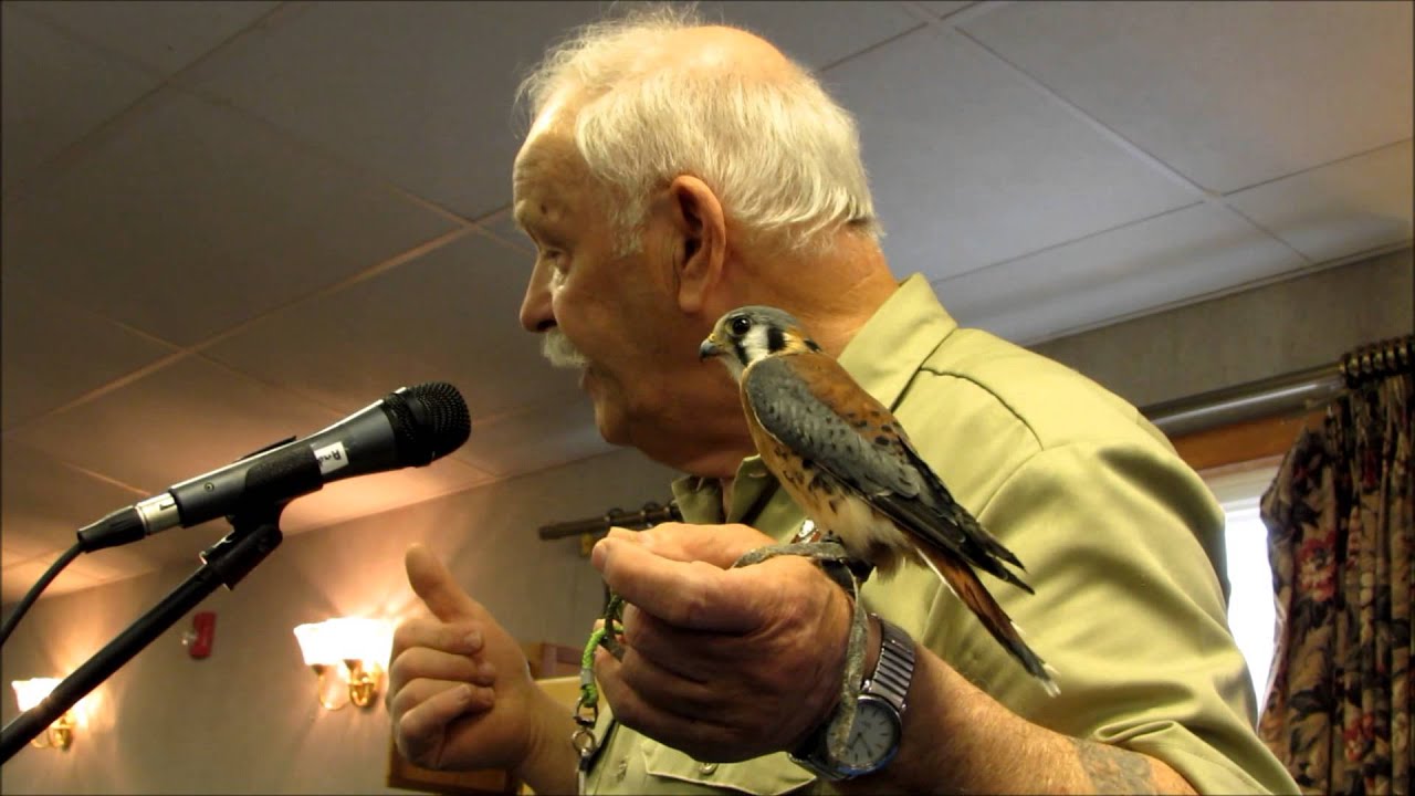 Highlights of Tom Ricardi's raptor presentation - YouTube