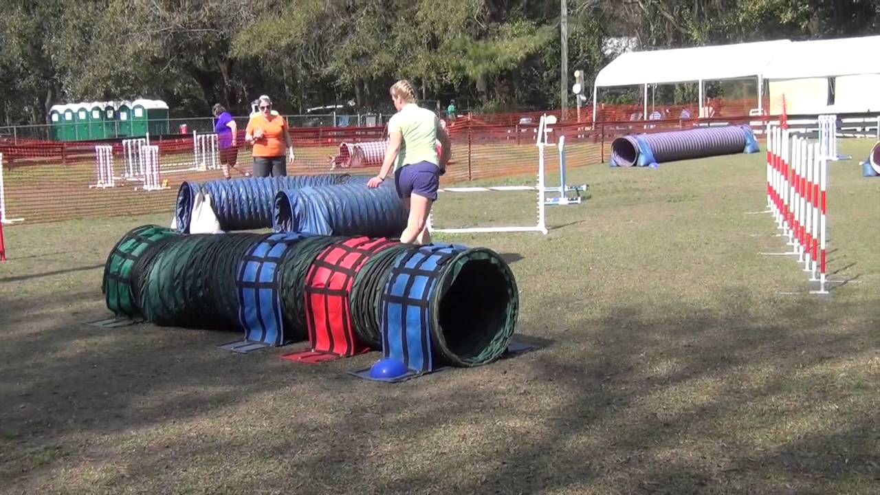 Péle & Echo | Kayl McCann highlights - YouTube