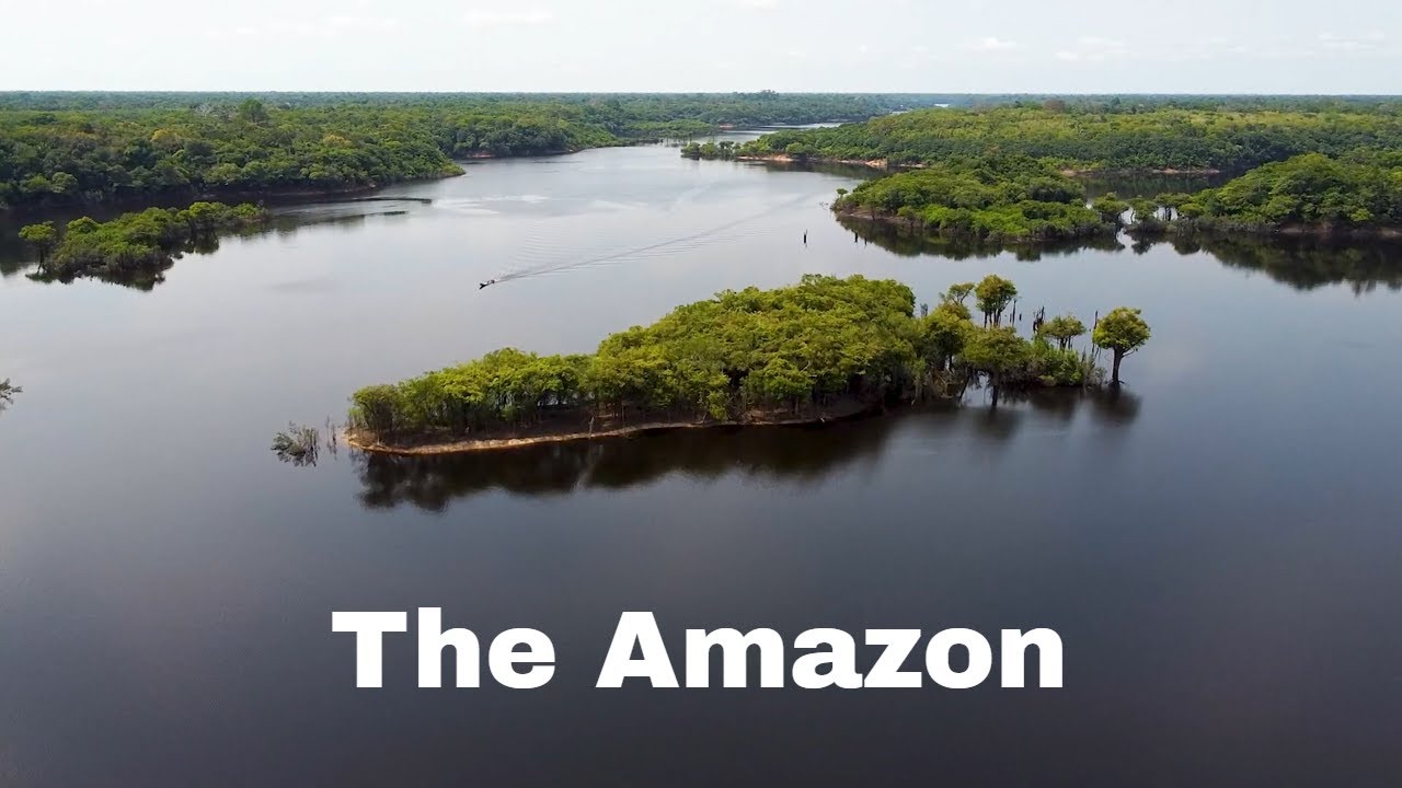 Swimming in a cayman infested lake in the Amazon Jungle. 😱 - YouTube