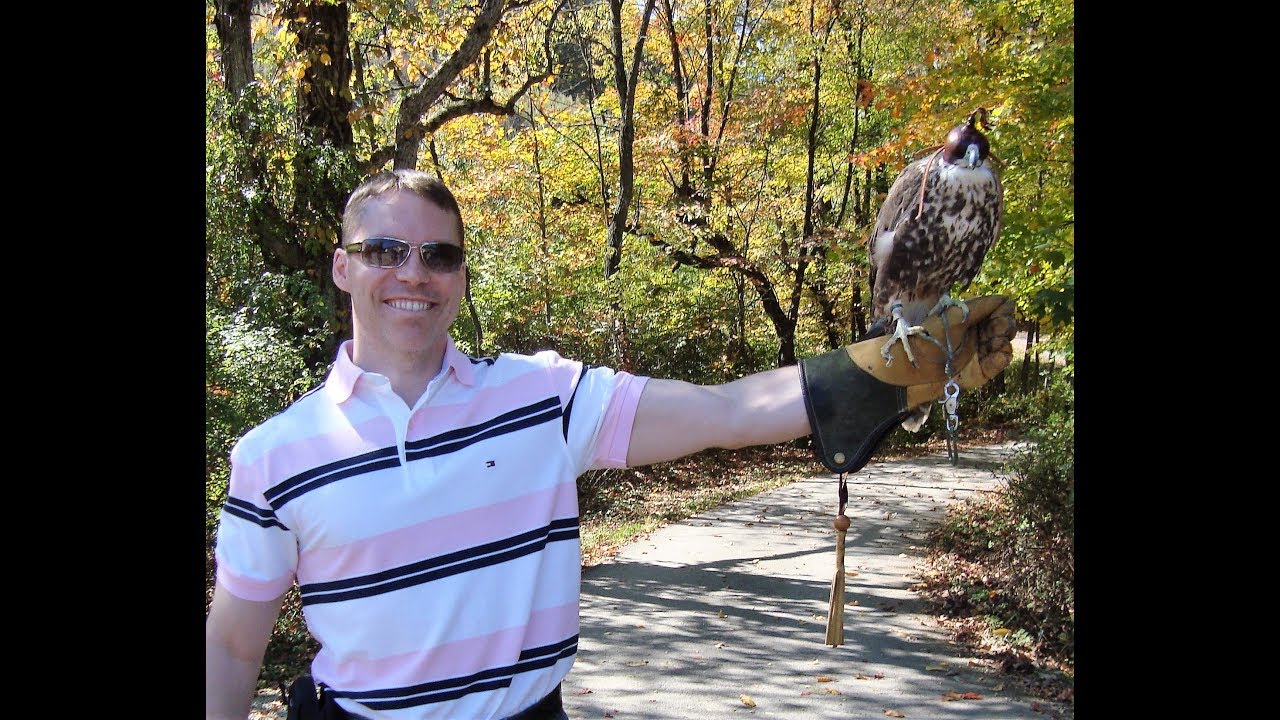 Going Free | No White Guilt | How to Handle Being Doxed | Girl Wishes ...