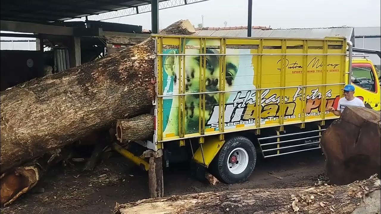 AMAZING VIDEO ‼️ You Must See ‼️The Process of Unloading Large Logs ...