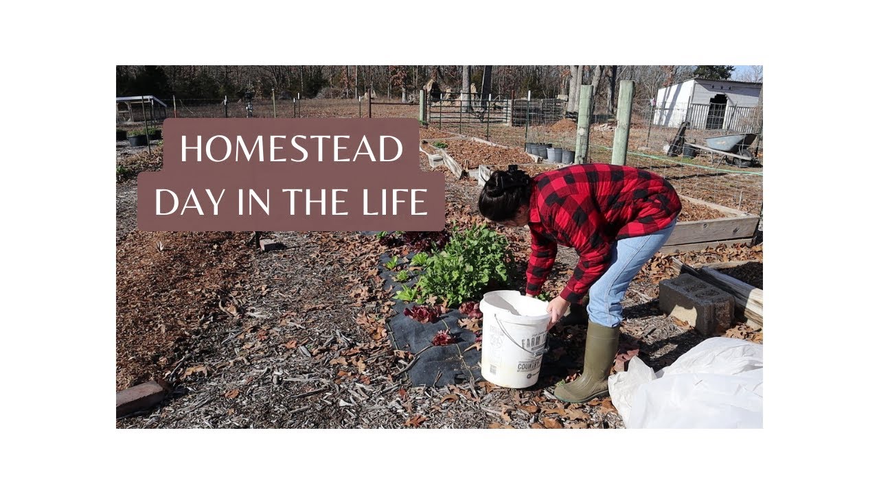 Homestead day in the life / Homestead a week in the life - YouTube