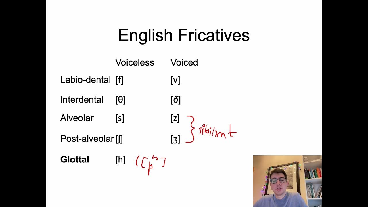 Linguistics 341 - Introduction to Phonetics - Consonant Dimensions II ...
