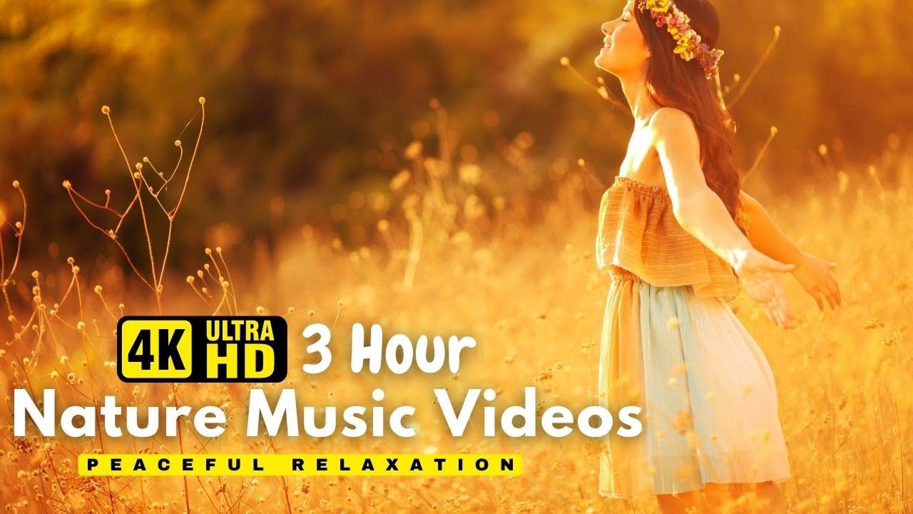 4K Nature Relaxing Music with Nature Sounds, 🌳Nature Music, Sleep Music ...