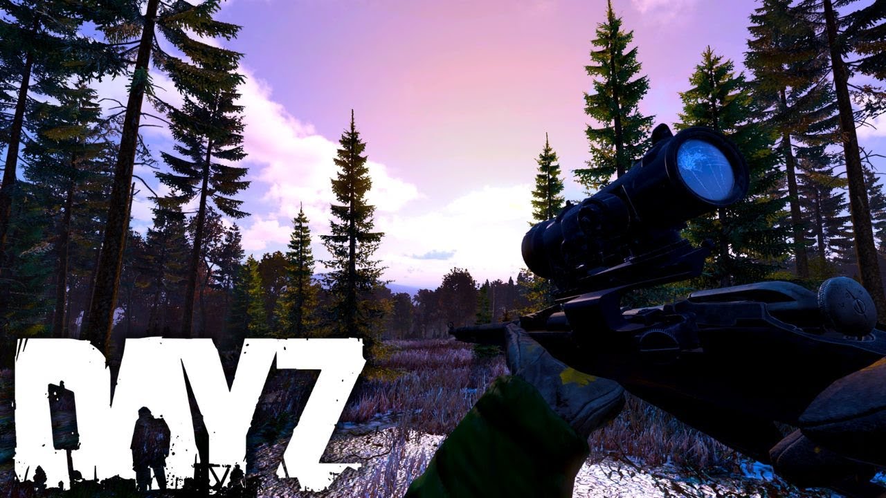 An UNBELIEVABLE DayZ Spark Plug Adventure (After Initial PVP) - YouTube