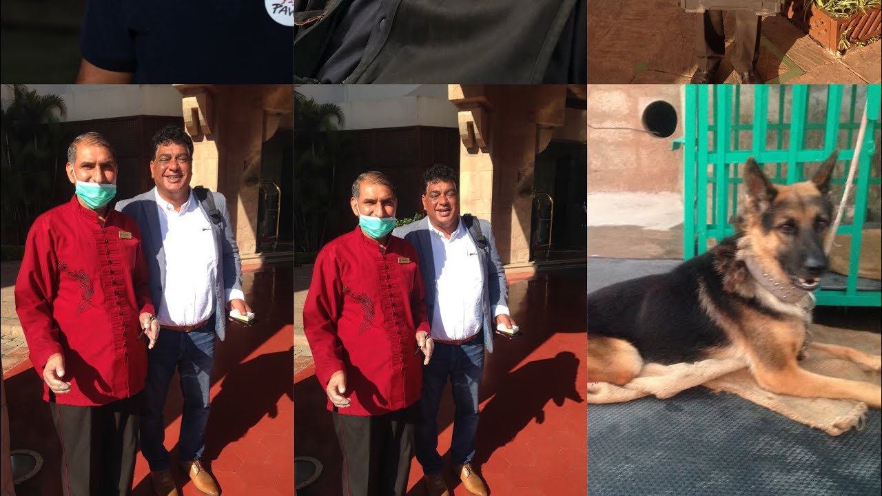 Rescued a paralysed dog | got medical advice from dr Amir | help ...