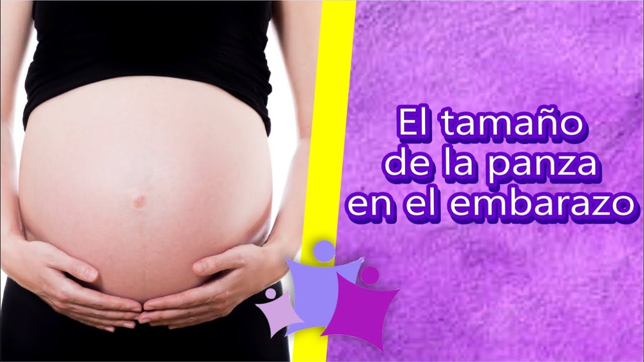 EL TAMAÑO DE LA PANZA EN EL EMBARAZO - INFOPARTO - YouTube