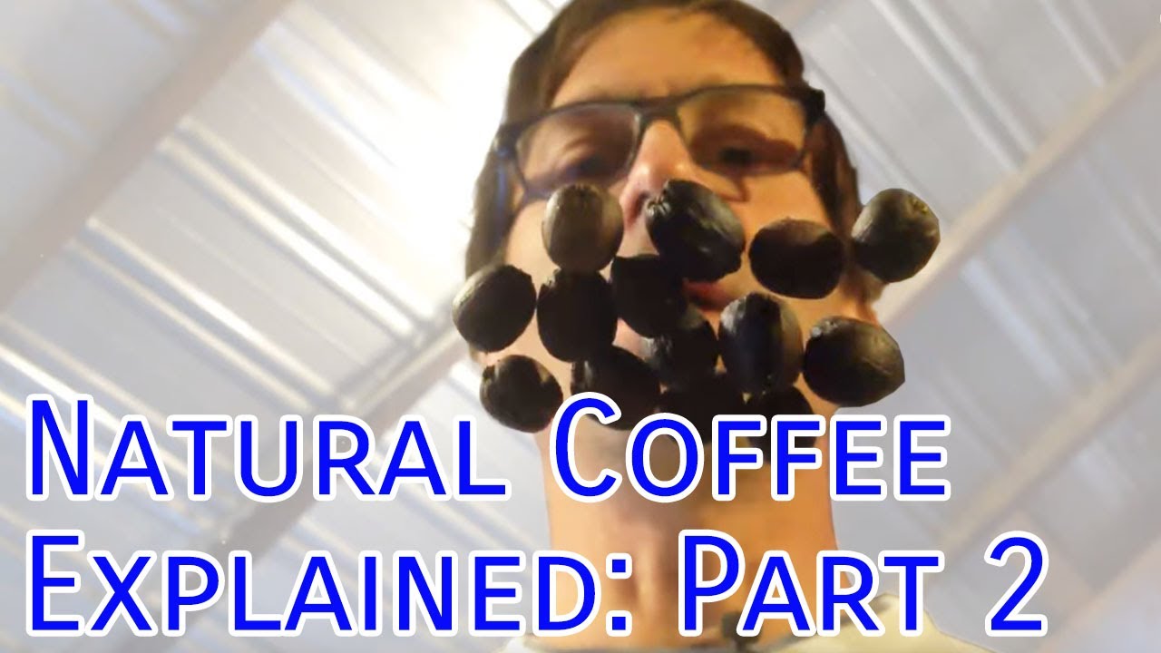 Natural Coffee Explained: Part 2 - YouTube