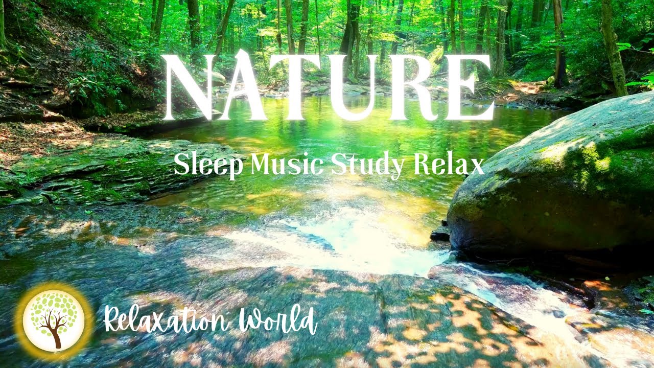 Beautiful Relaxing Music With Nature Sounds In The morning | Birds ...