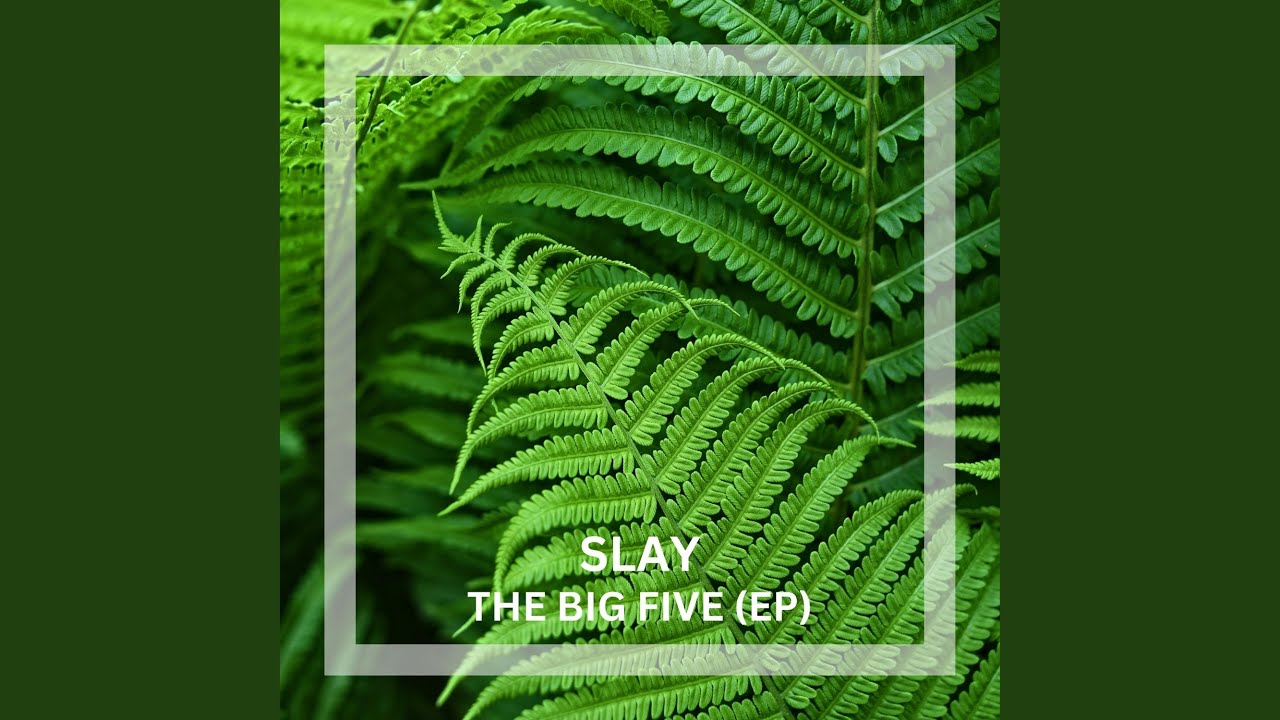 Sekwanele (feat. Mbodla) - YouTube