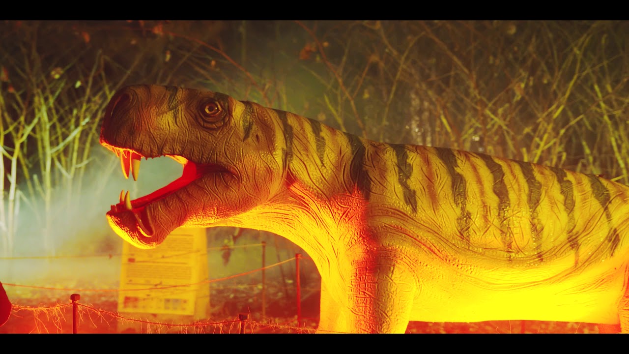 PLWM 2019 - Teaser 2 - YouTube