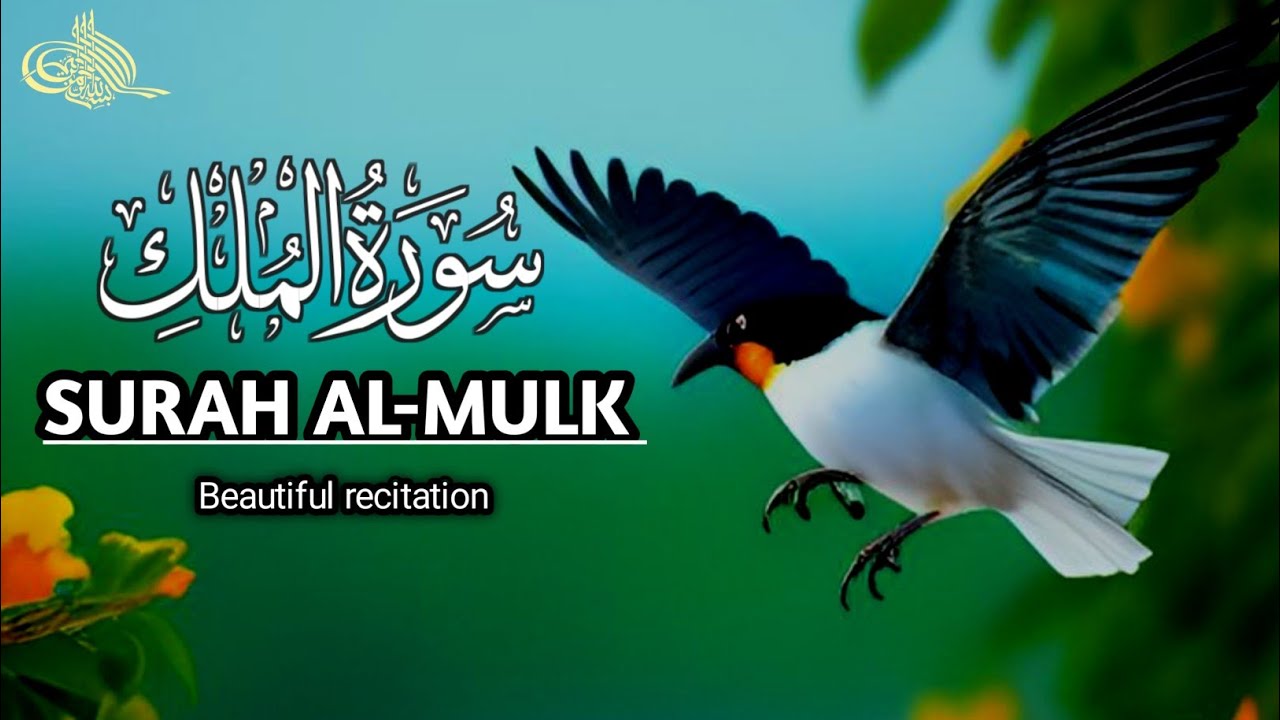 Surah mulk سورۃ المُلک Beautiful Recitation Episode 026 ...