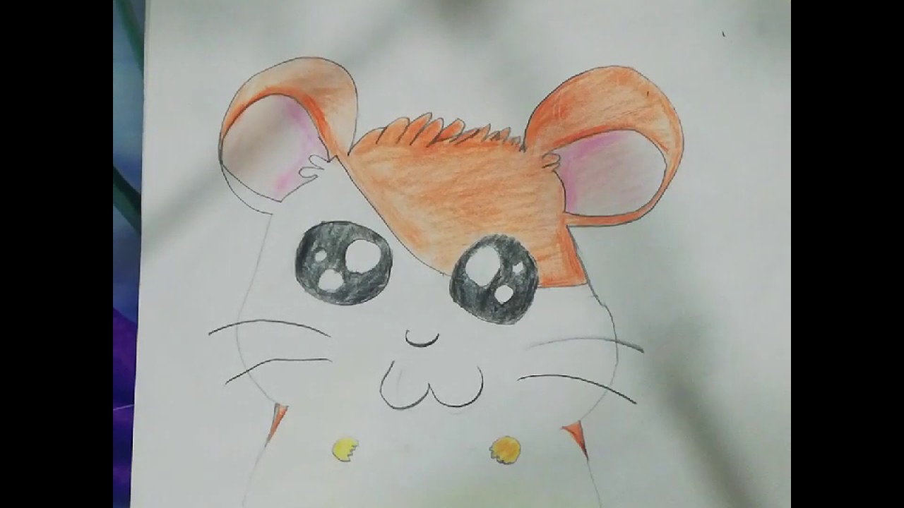 كيفية رسم همتارو How to draw Hamtaro - YouTube