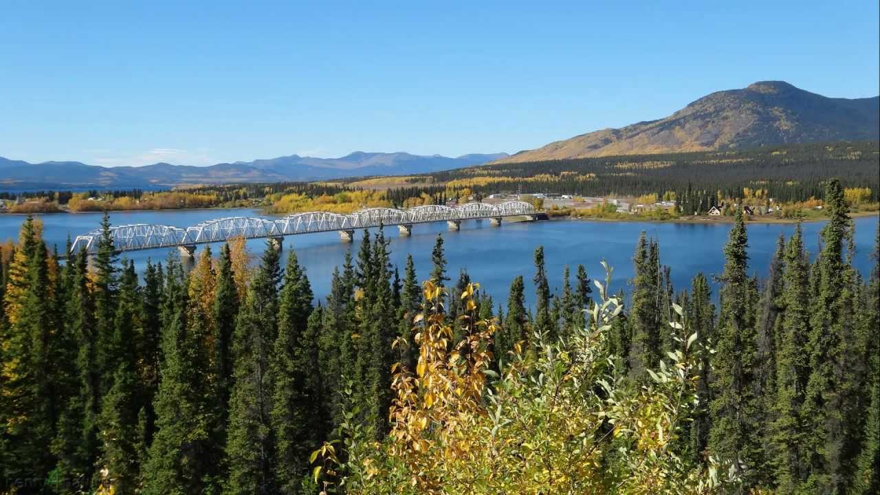 Wonderful Nature and Wildlife in West-Canada - Chill out - YouTube