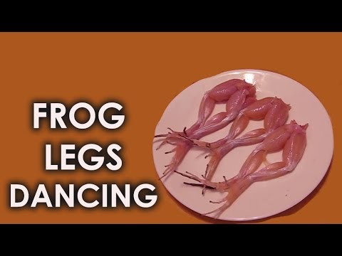 Frog Legs Dancing With A Little Salt - YouTube