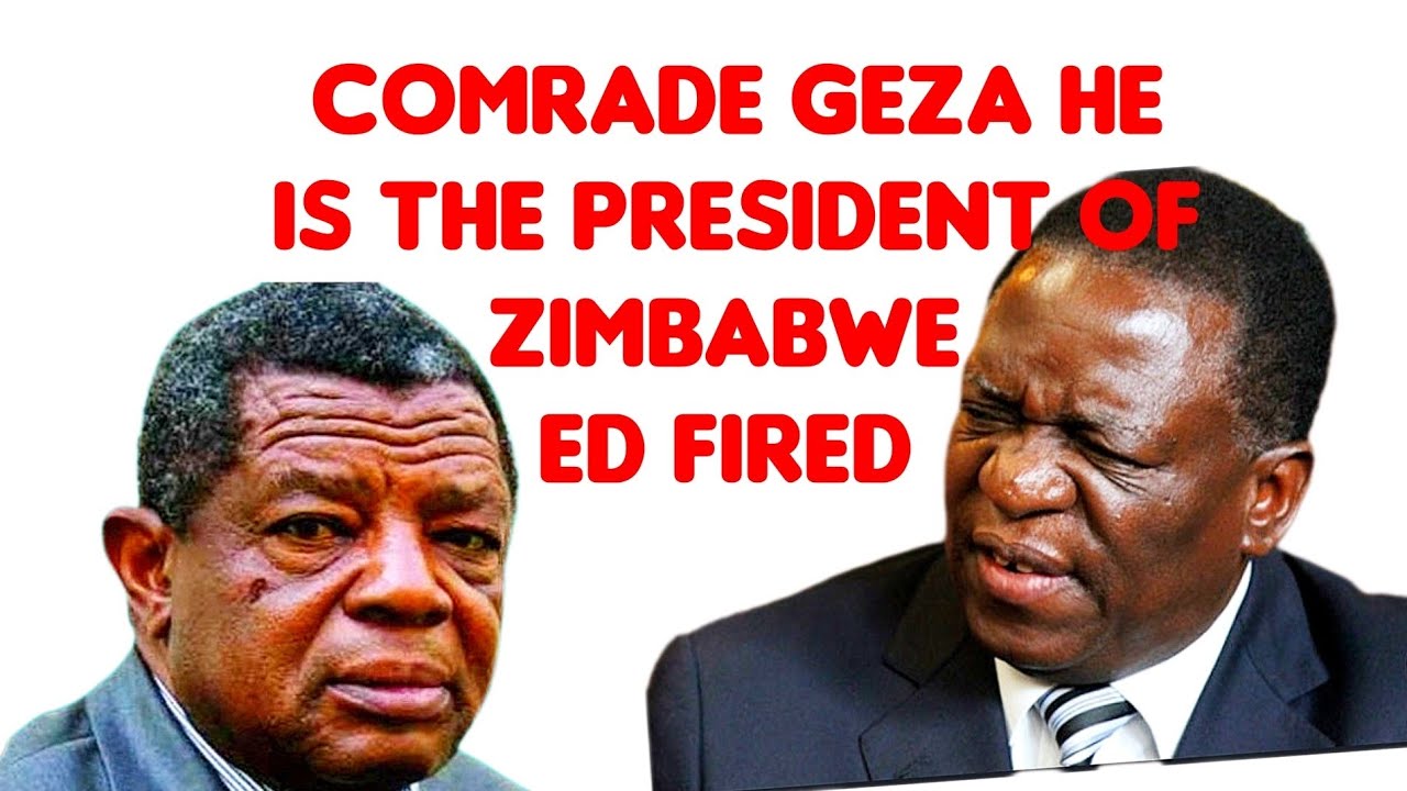 Comrade geza he is now a president of zimbabwe #foryou #news #trending ...