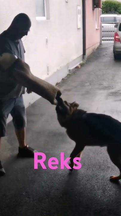 Reks - YouTube