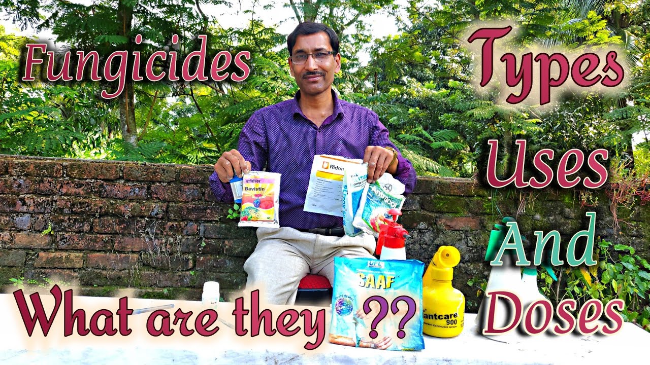 What Are Fungicides Types Doses Utilities And Availability YouTube what-are-fungicides-types-doses-utilities-and-availability-youtube