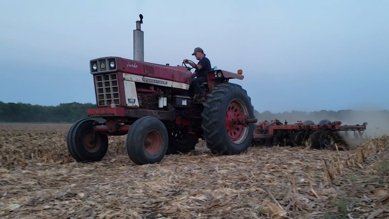 International 1466 Disking Corn Stalks - YouTube