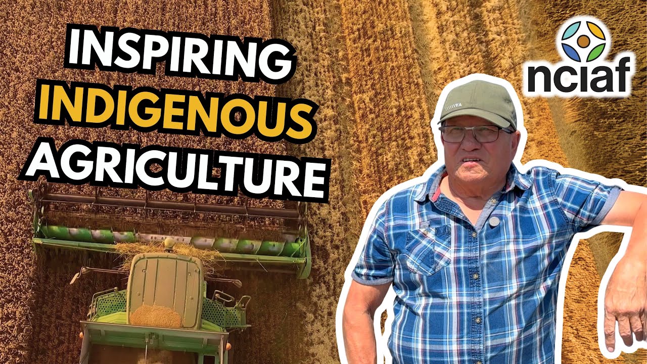 Incredible Indigenous Farming Legacy Alive in Cowessess First Nation ...