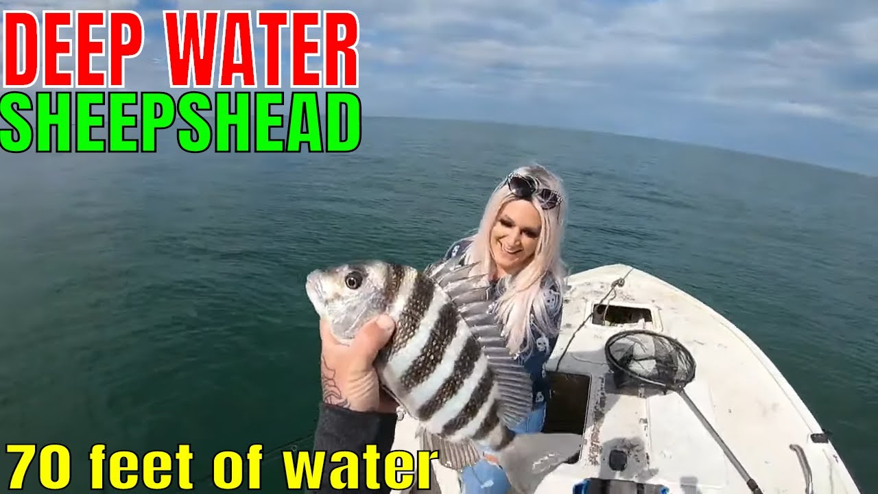 Light Tackle Offshore Fishing For Deep Water Sheepshead and More - YouTube