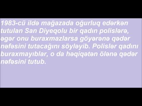 maraqlı faktlar