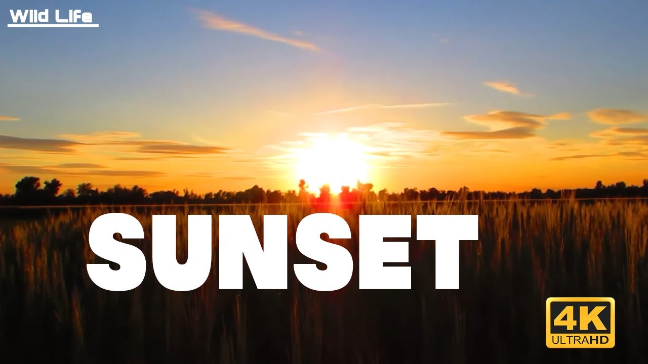 Sunset 4K - Relaxing music along with beautiful nature videos ( 4k ...