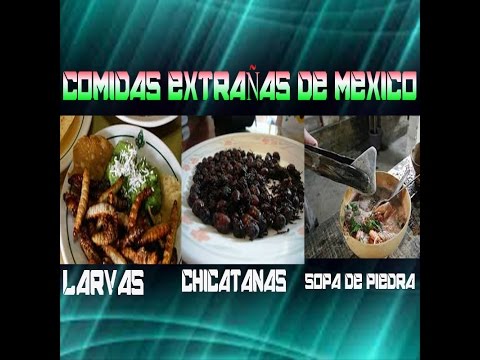 LAS COMIDAS MAS RARAS DE MEXICO - YouTube