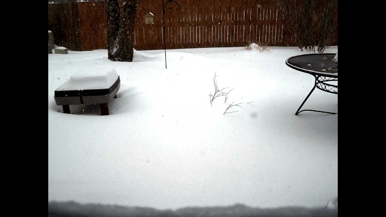 Snow Accumulation Time-Lapse - YouTube