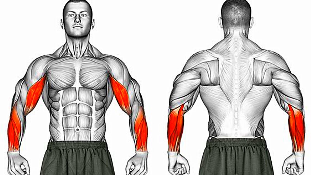 How to Increase Grip Strength & Flexibility Your Wrists - YouTube