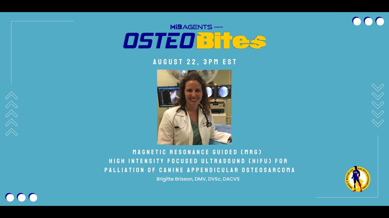 High Intensity Focused Ultrasound (HIFU) For Palliation of Canine ...