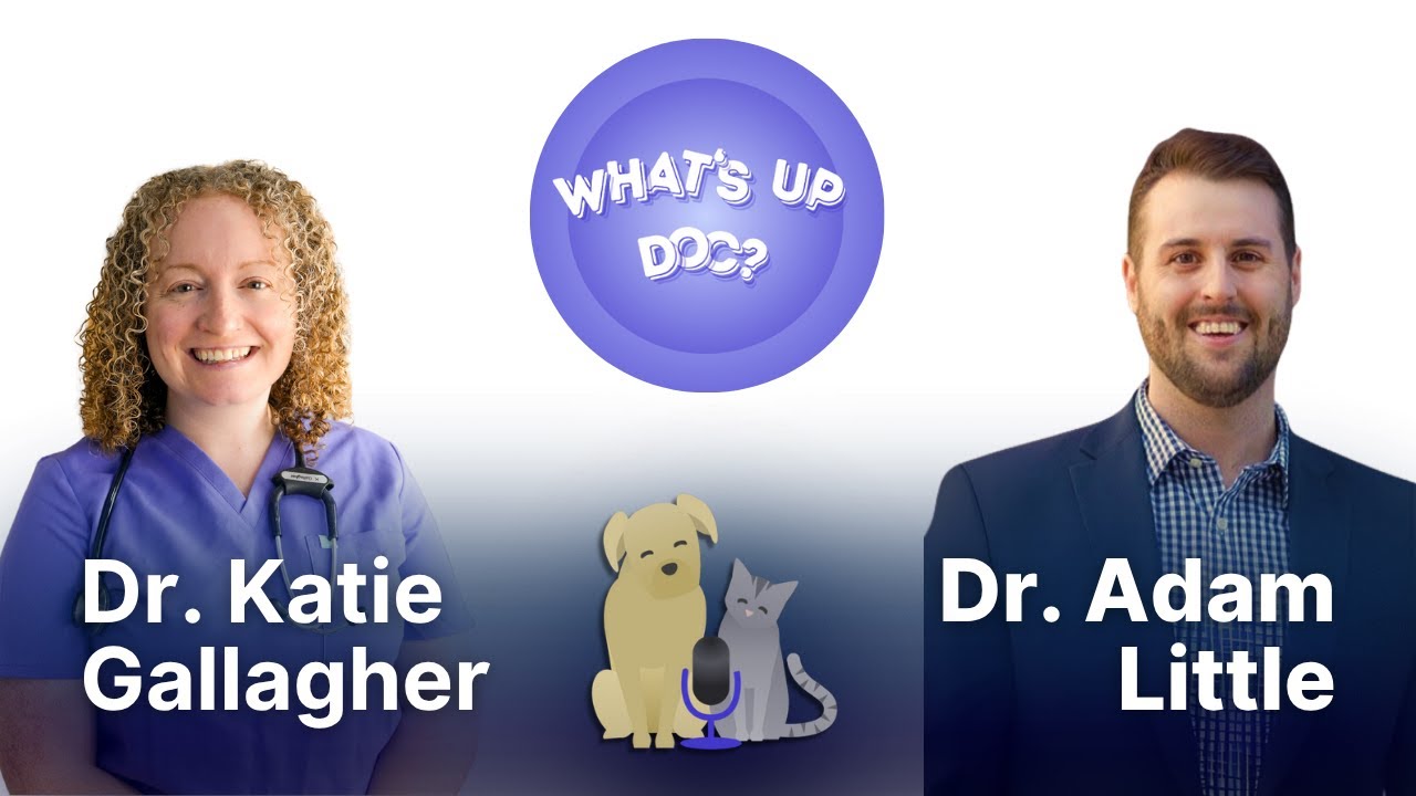 Creating and Implementing Technology in VetMed with Dr. Adam Little ...